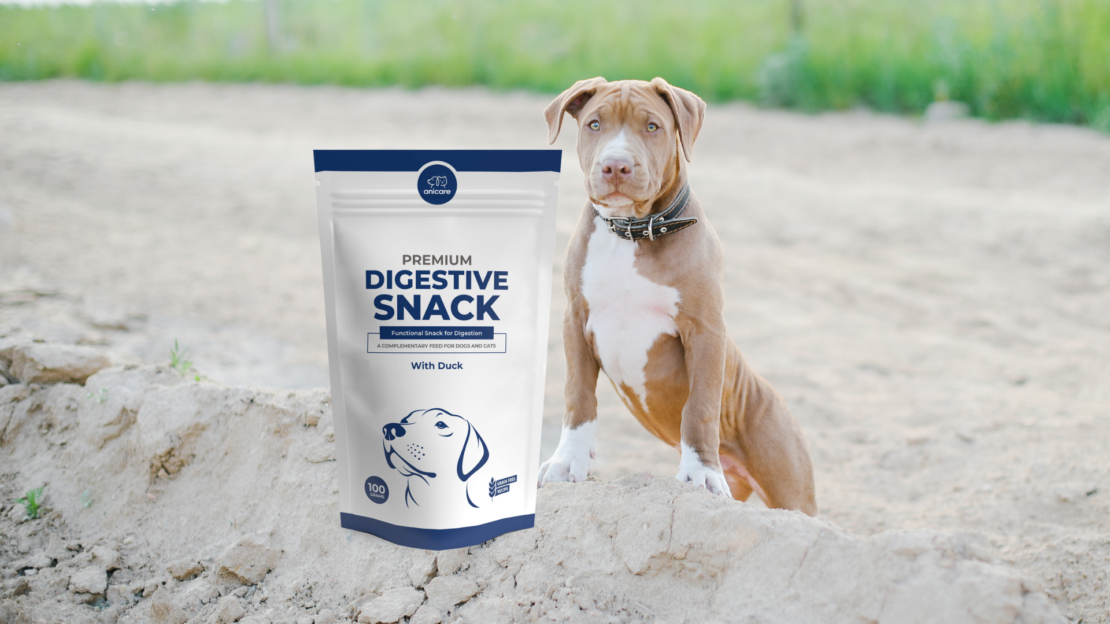 Premium Digestive Snack